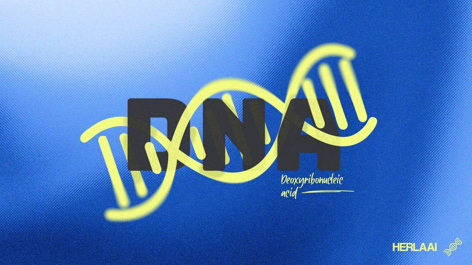 DNA – Past. Chevone Badenhorst – Deel 3 – Word and Life Church